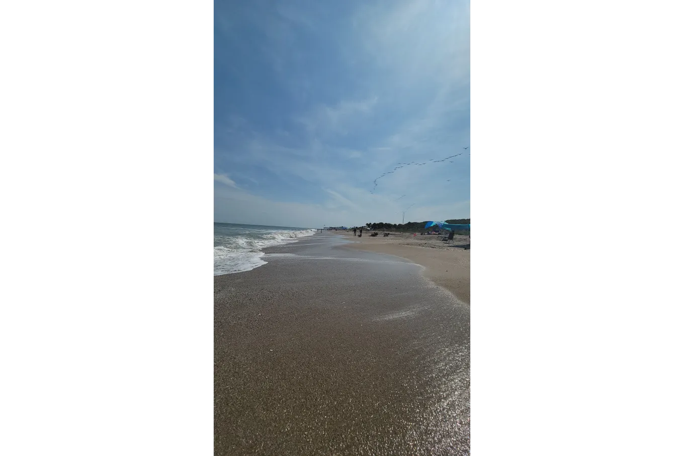 Explore the 47: South Carolina's Coasts | Richland Library