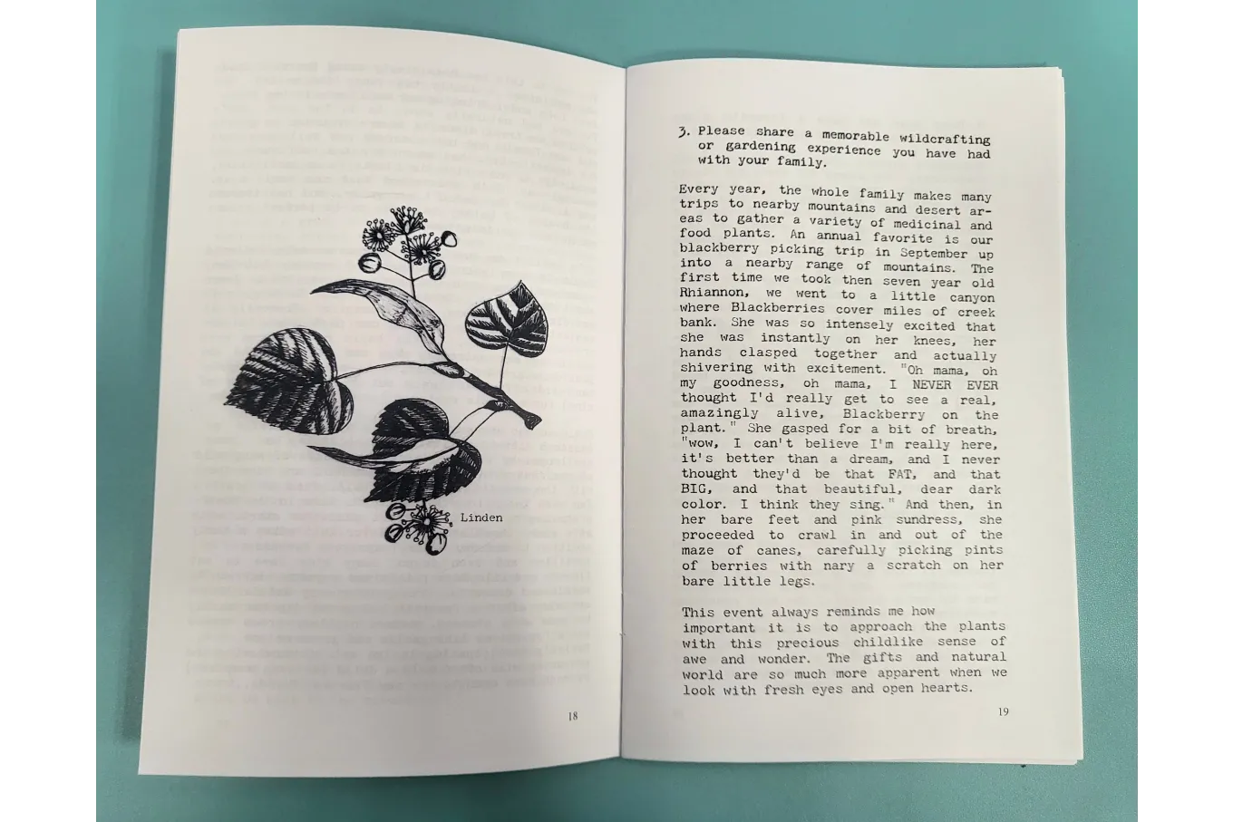How to Make a Zine | Richland Library