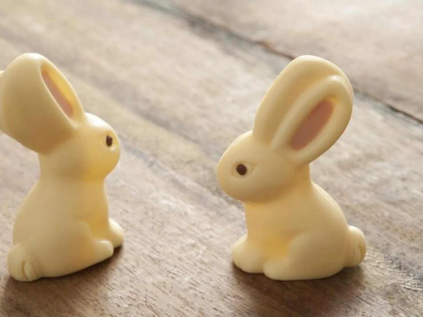 Hands On Art: Max and Ruby's Chocolate Chicken | Richland Library